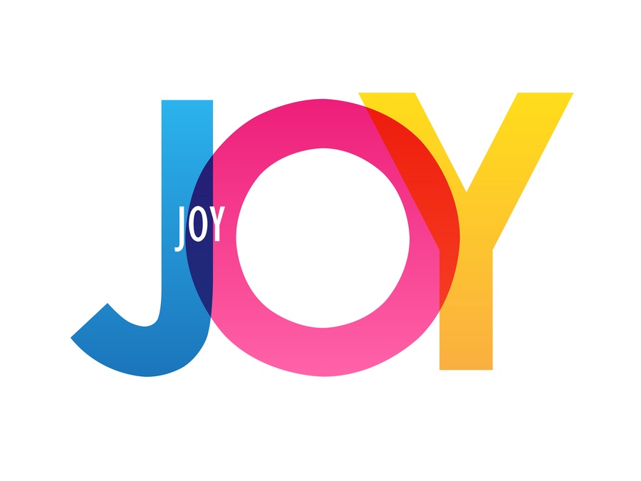 joy-store2